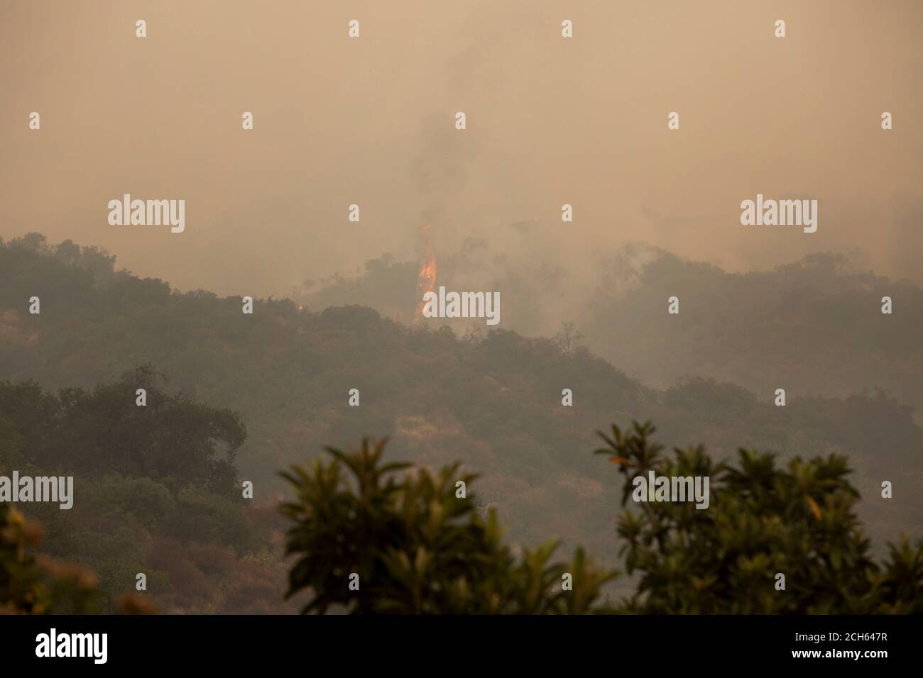 Monrovia, California, USA. 12th Sep, 2020. The Bobcat wildfire burns in ...