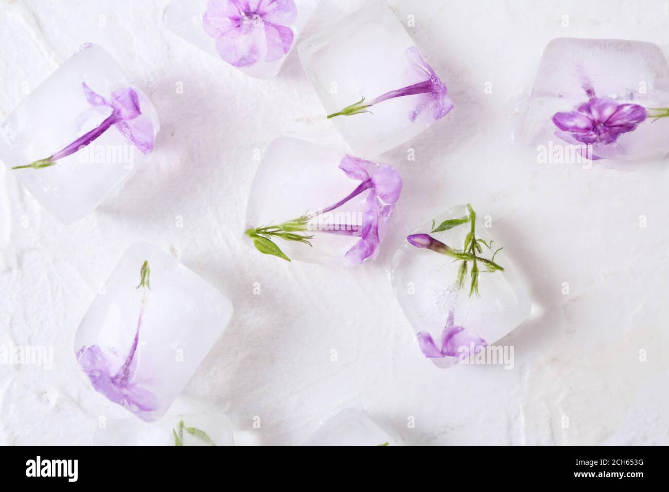 Frozen flowers in ice on white background Stock Photo - Alamy