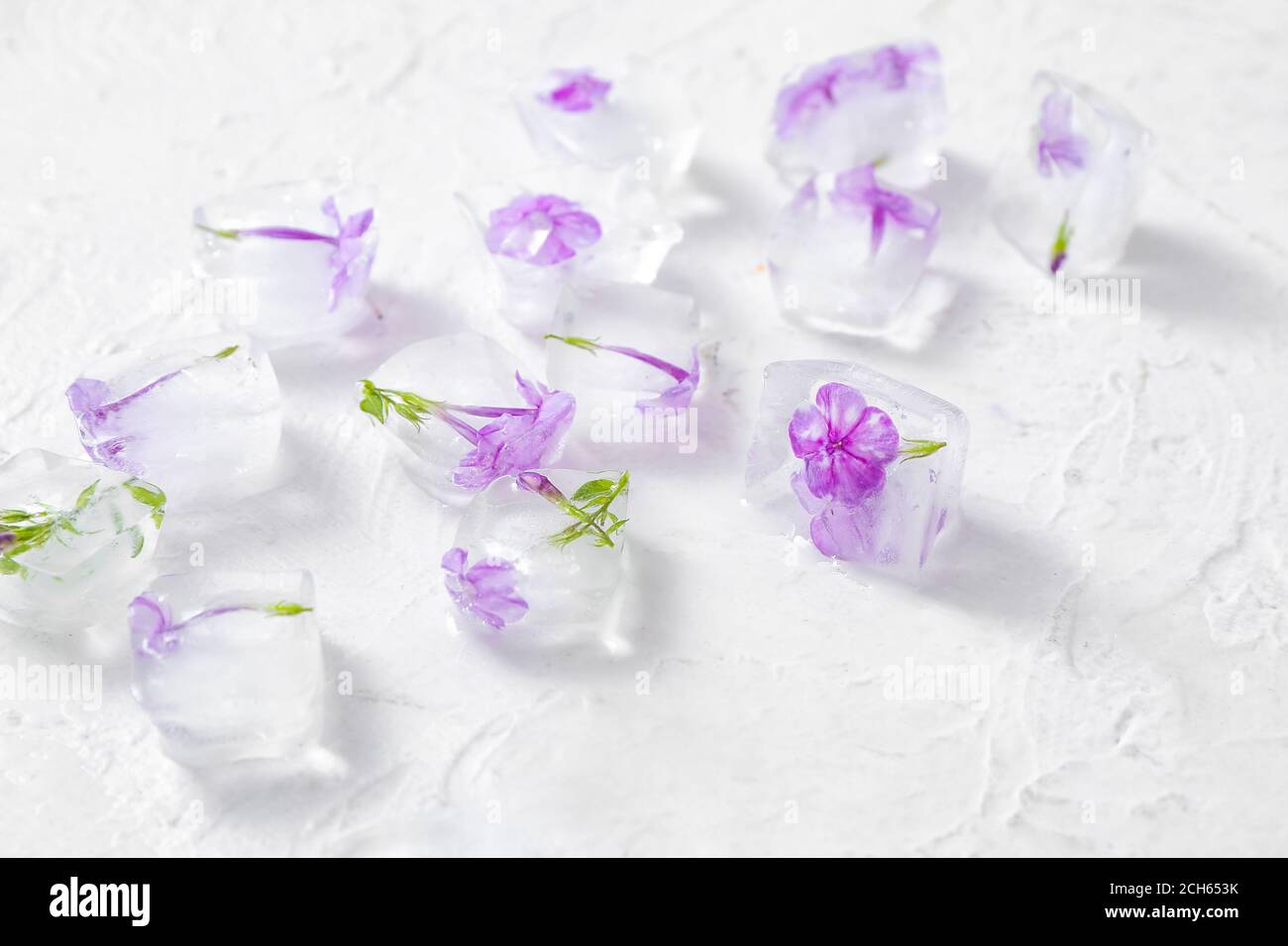 Frozen flowers in ice on white background Stock Photo - Alamy
