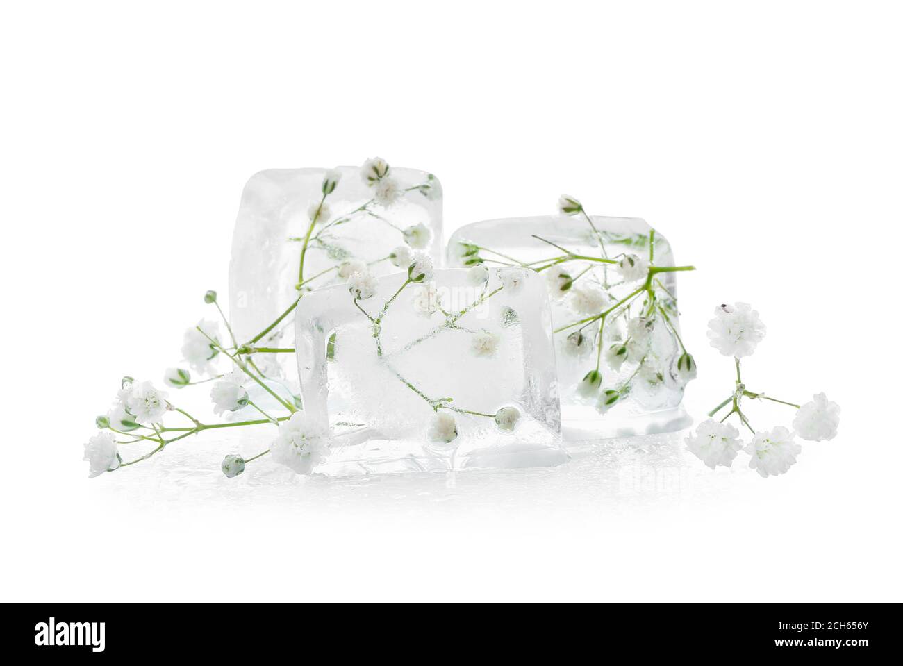 White gypsophila flowers in Cut Out Stock Images & Pictures - Alamy