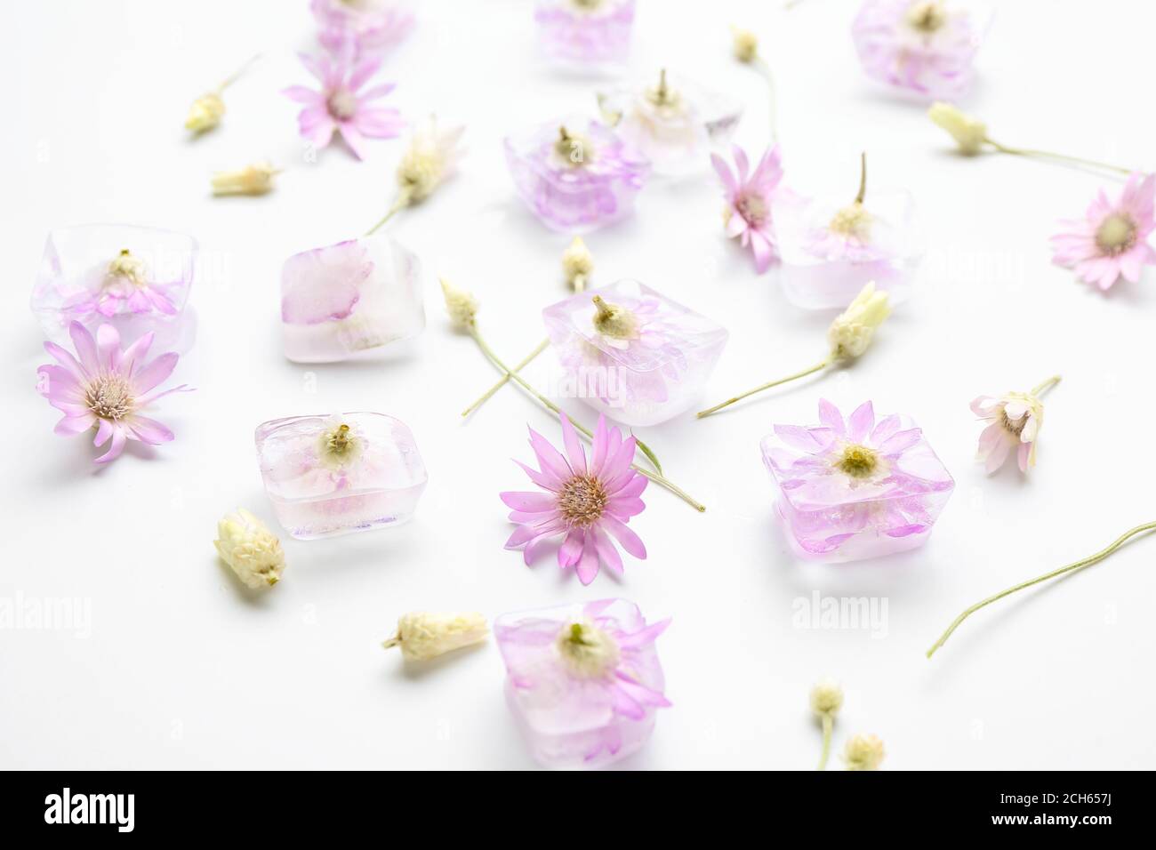 Frozen flowers in ice on white background Stock Photo - Alamy