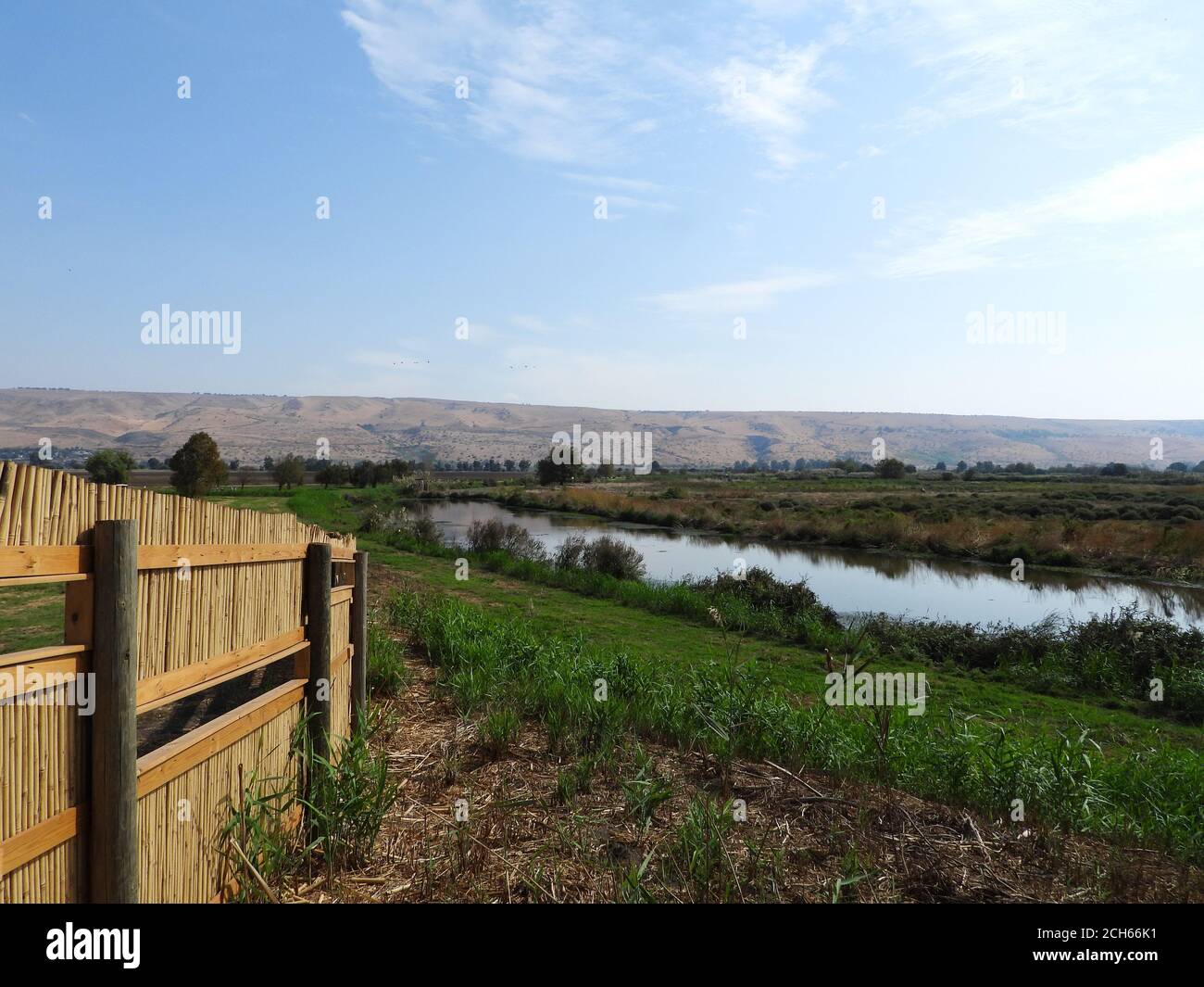 Israel, Hula Valley, Agmon lake nature reserve A small section of the ...