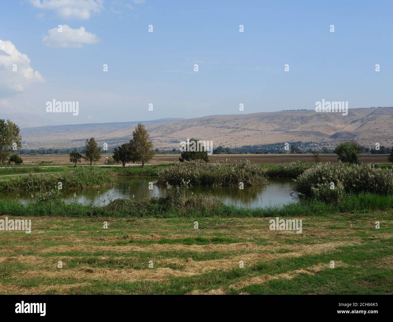 Israel, Hula Valley, Agmon lake nature reserve A small section of the ...