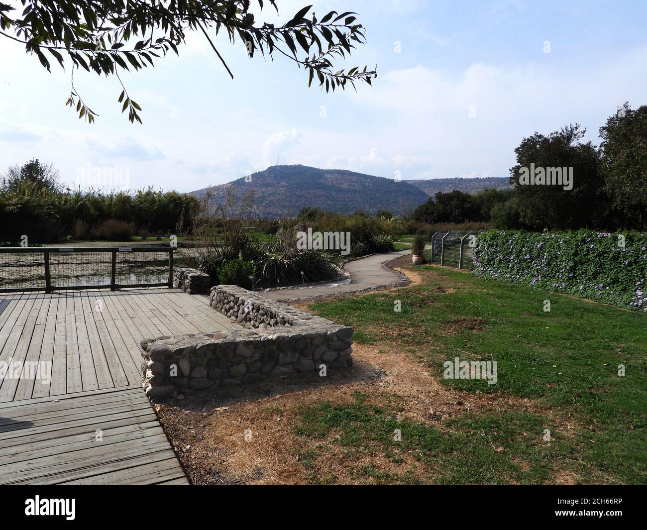 Israel, Hula Valley, Agmon lake nature reserve A small section of the ...