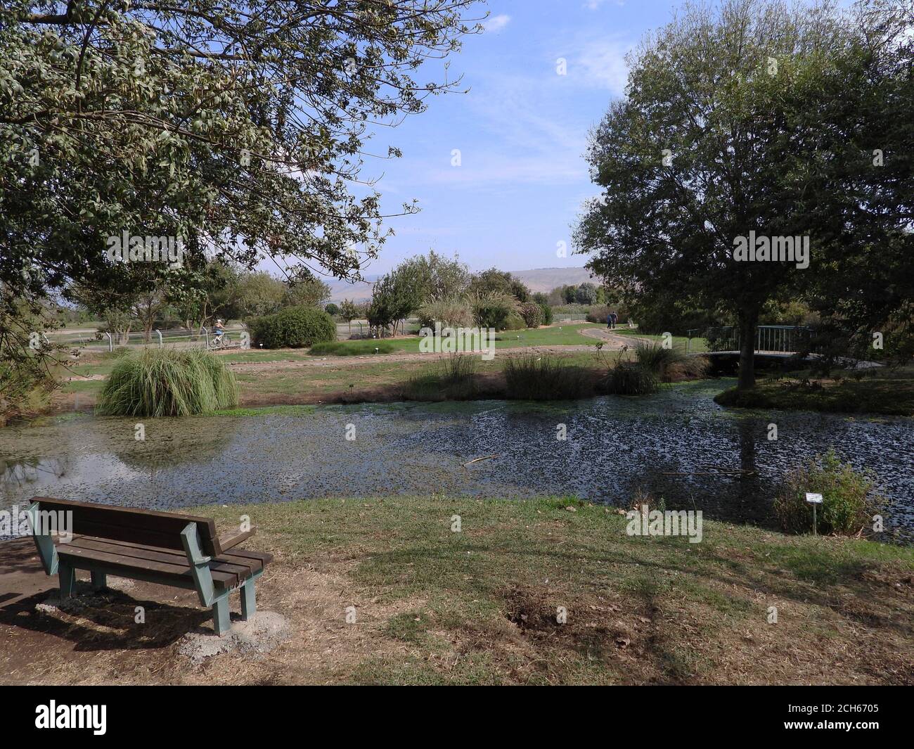 Israel, Hula Valley, Agmon lake nature reserve A small section of the ...