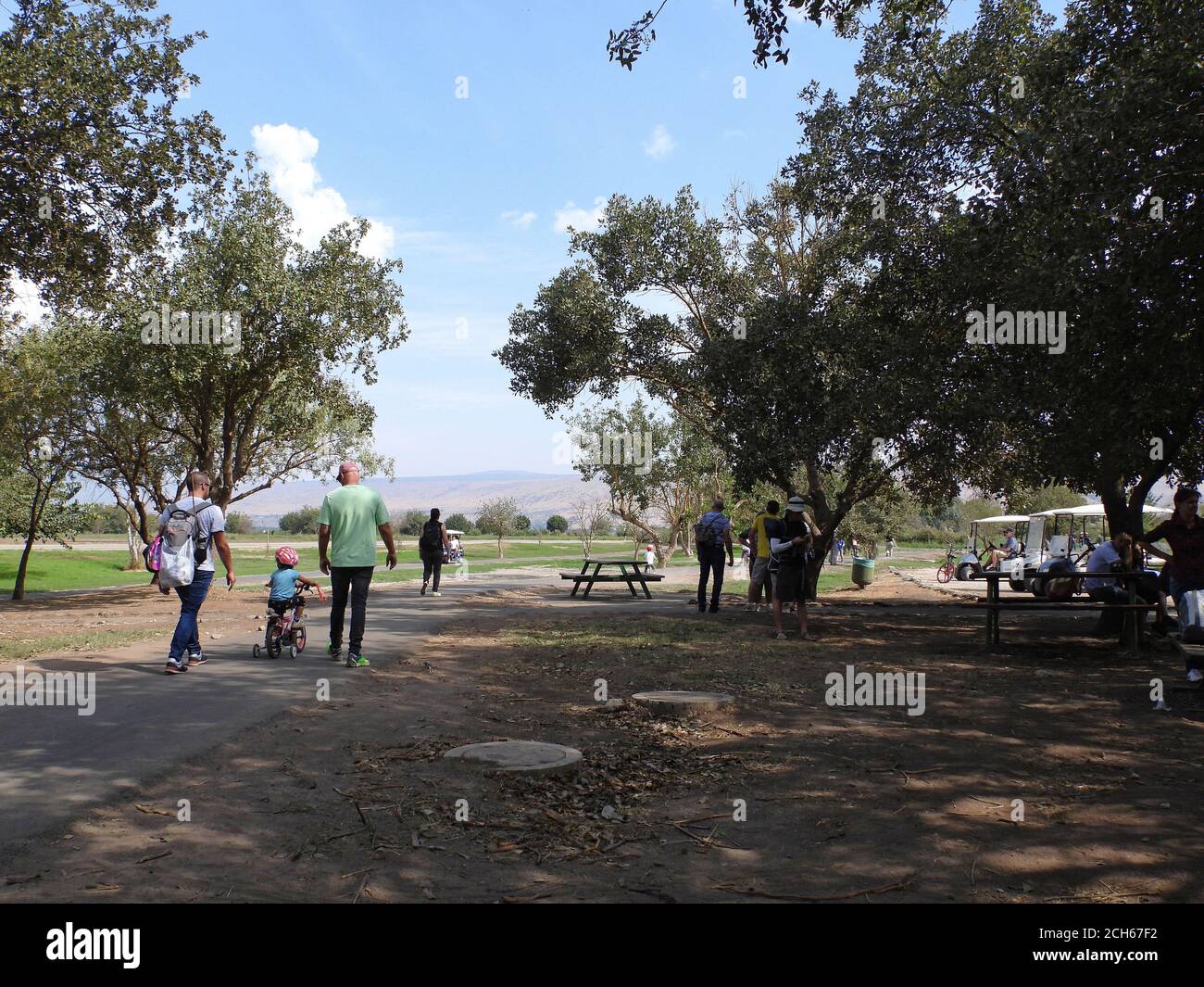 Israel, Hula Valley, Agmon lake nature reserve A small section of the ...