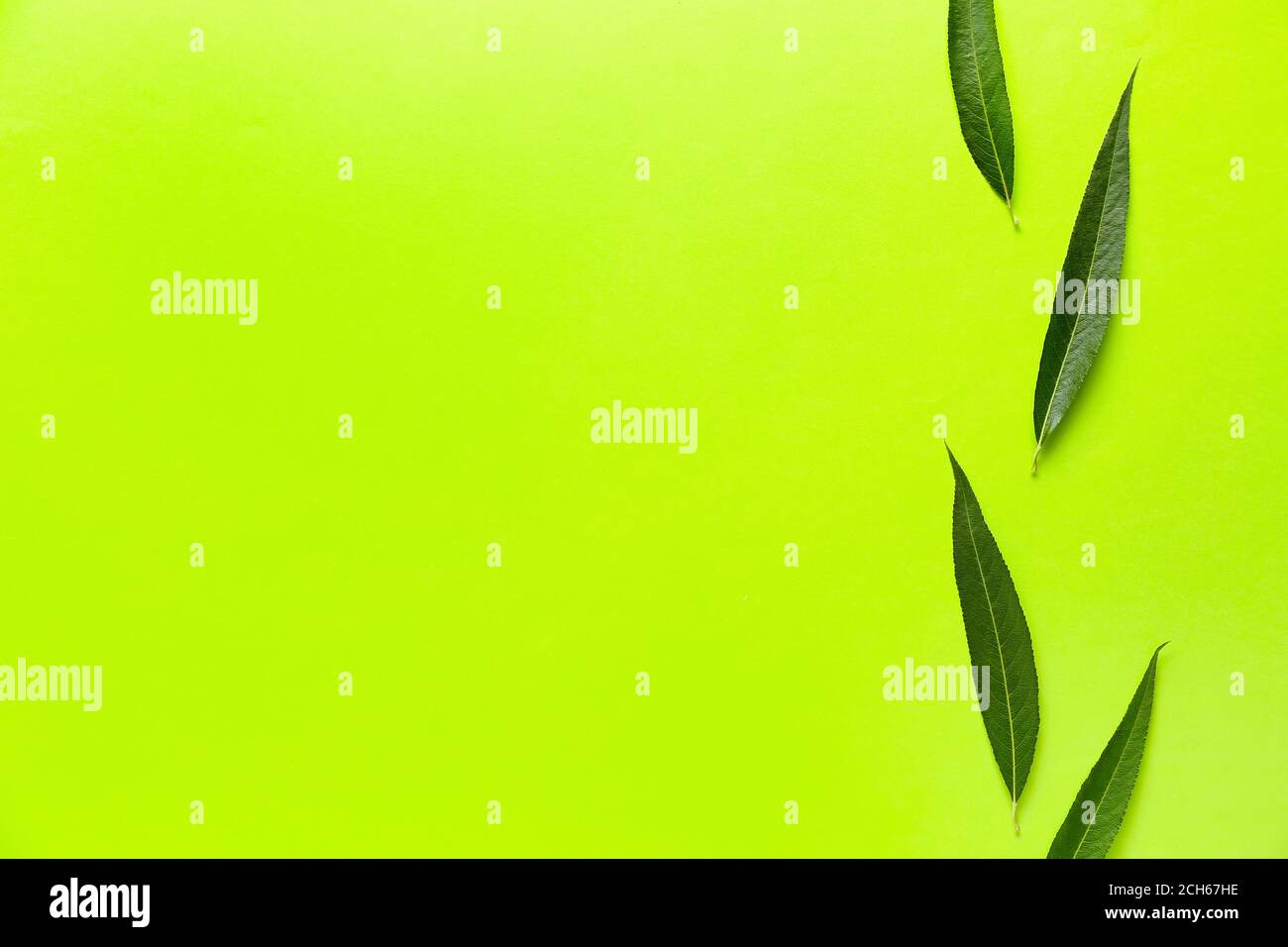 Common osiers hi-res stock photography and images - Alamy