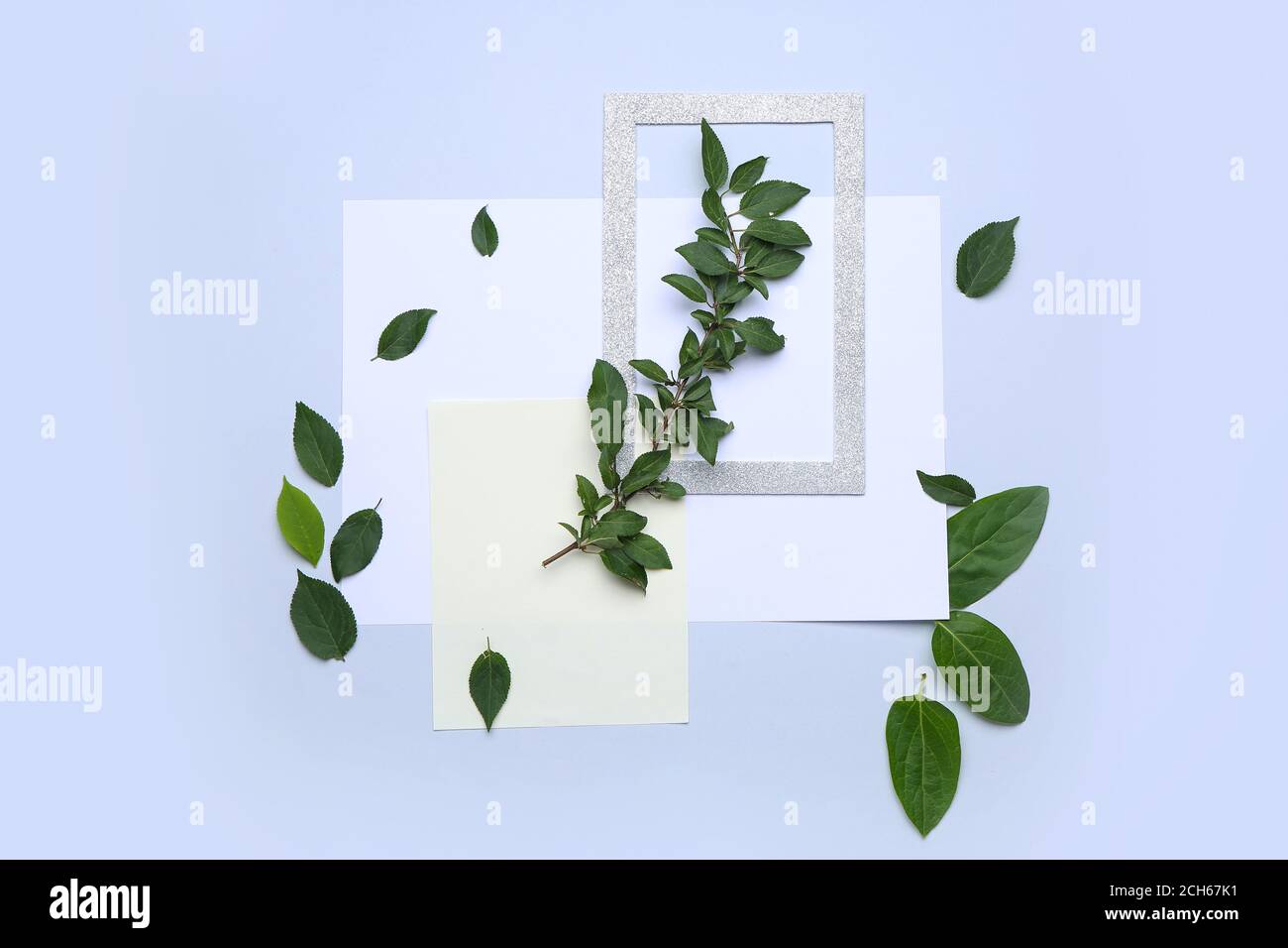 Composition with green leaves on light background Stock Photo - Alamy