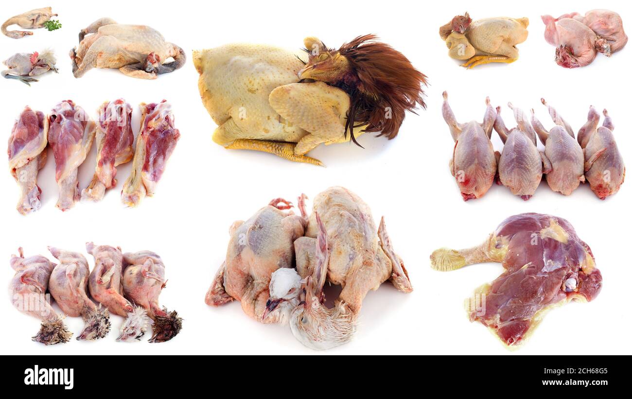 poultry meat in front of white background Stock Photo - Alamy