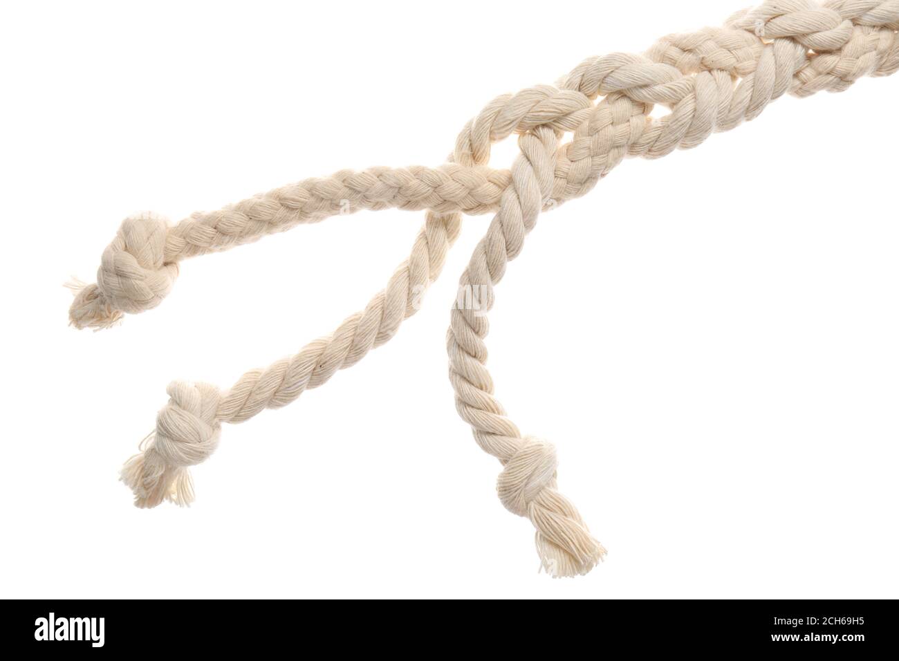 Braided rope on white background Stock Photo - Alamy