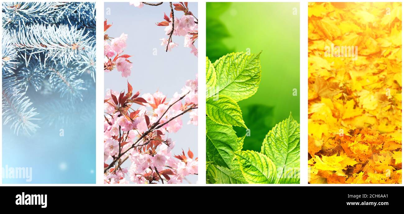 Four seasons of year. Set of vertical nature banners with winter ...