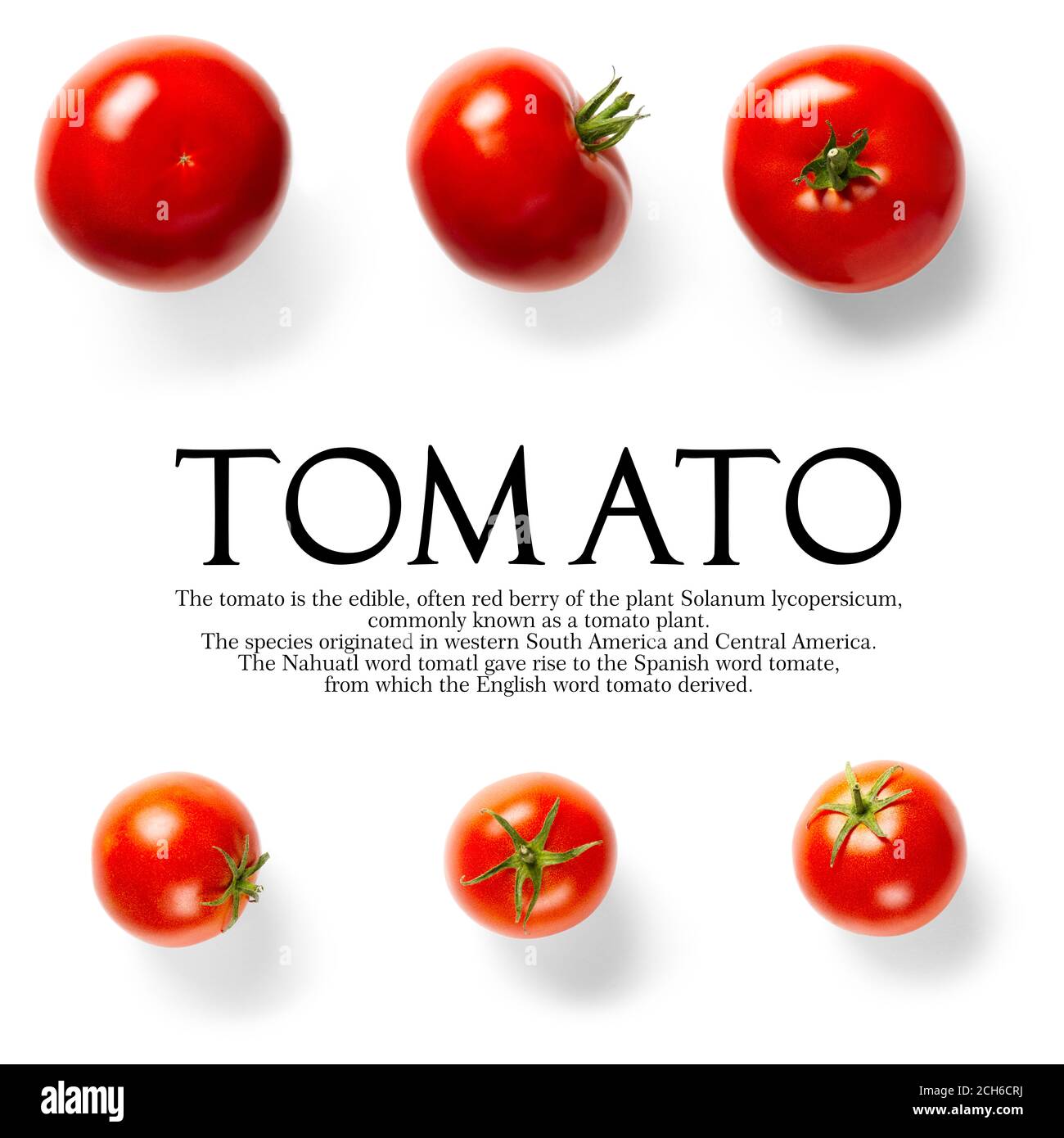 Creative layout made of tomato on the white background. Creative flat ...