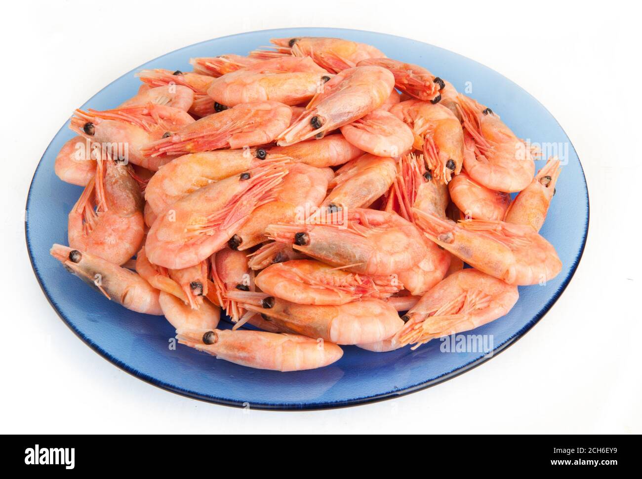 Blue prawn hi-res stock photography and images - Alamy