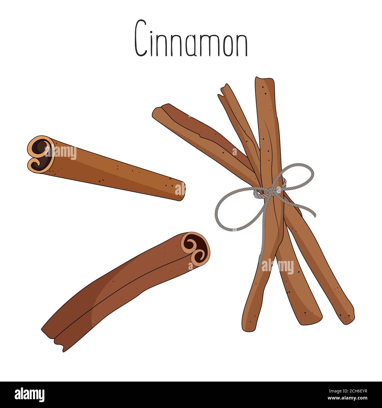 Cinnamon sticks isolated on white background, vector illustration Stock ...