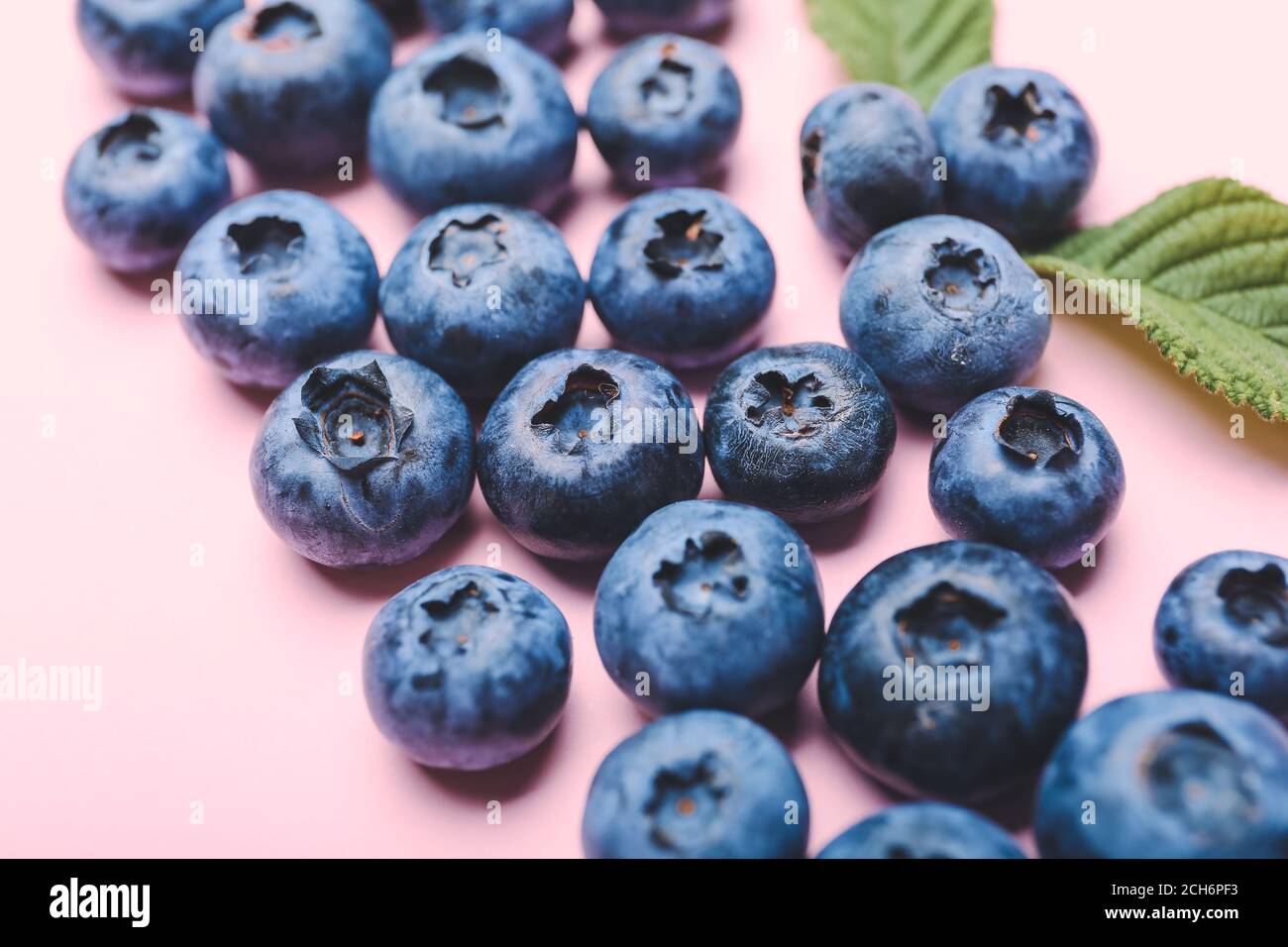 Tasty blueberry on color hi-res stock photography and images - Alamy