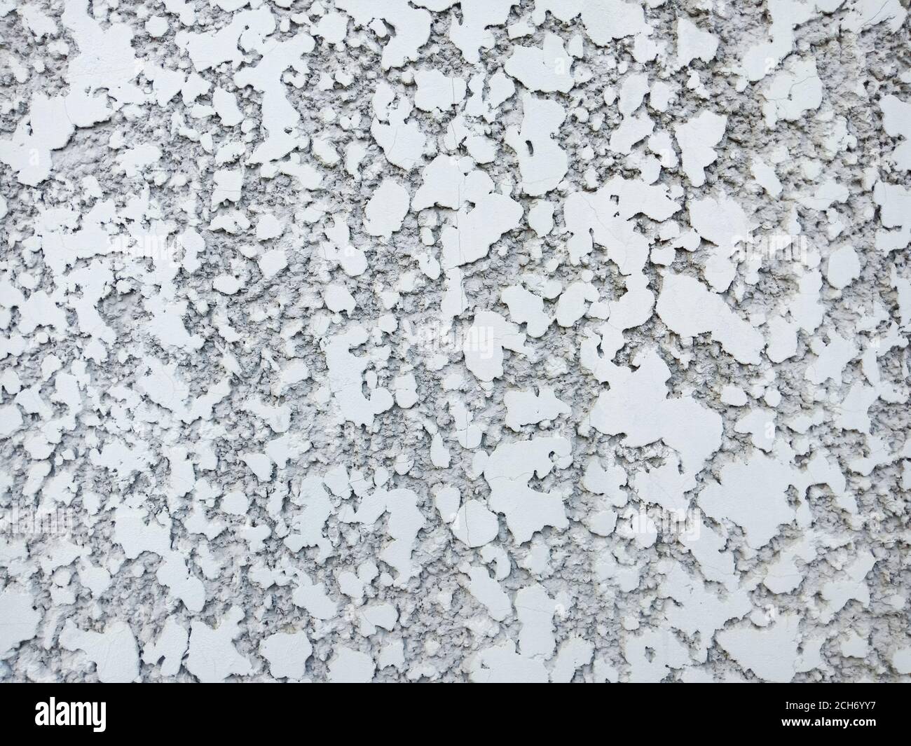 Light gray texture of the plaster background Stock Photo - Alamy