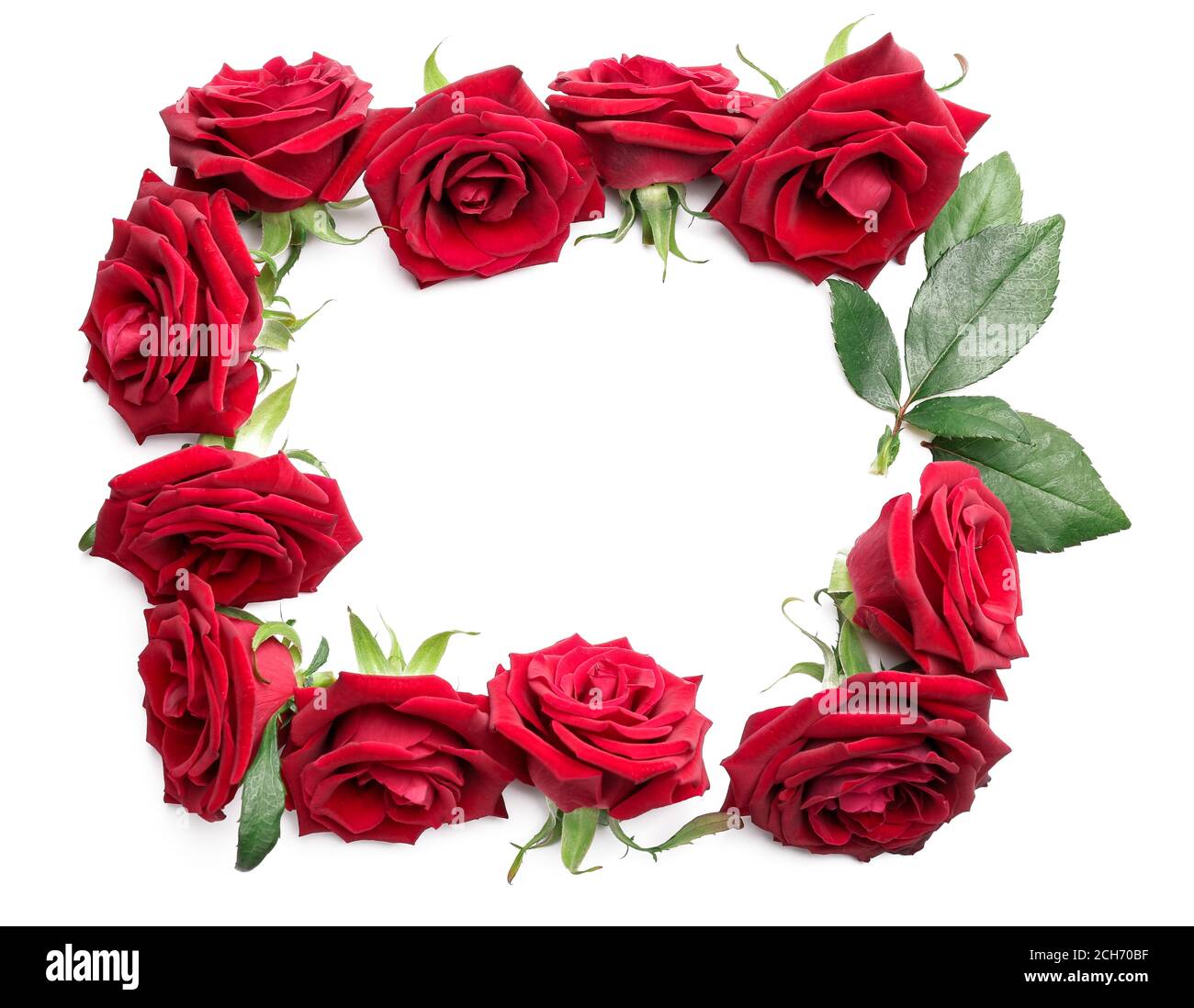 Frame made of beautiful red roses on white background Stock Photo - Alamy