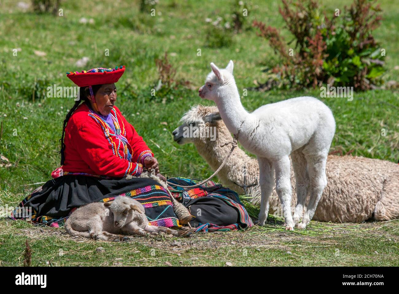 A Peruvian lady wearing traditional clothes including a poncho sitting ...