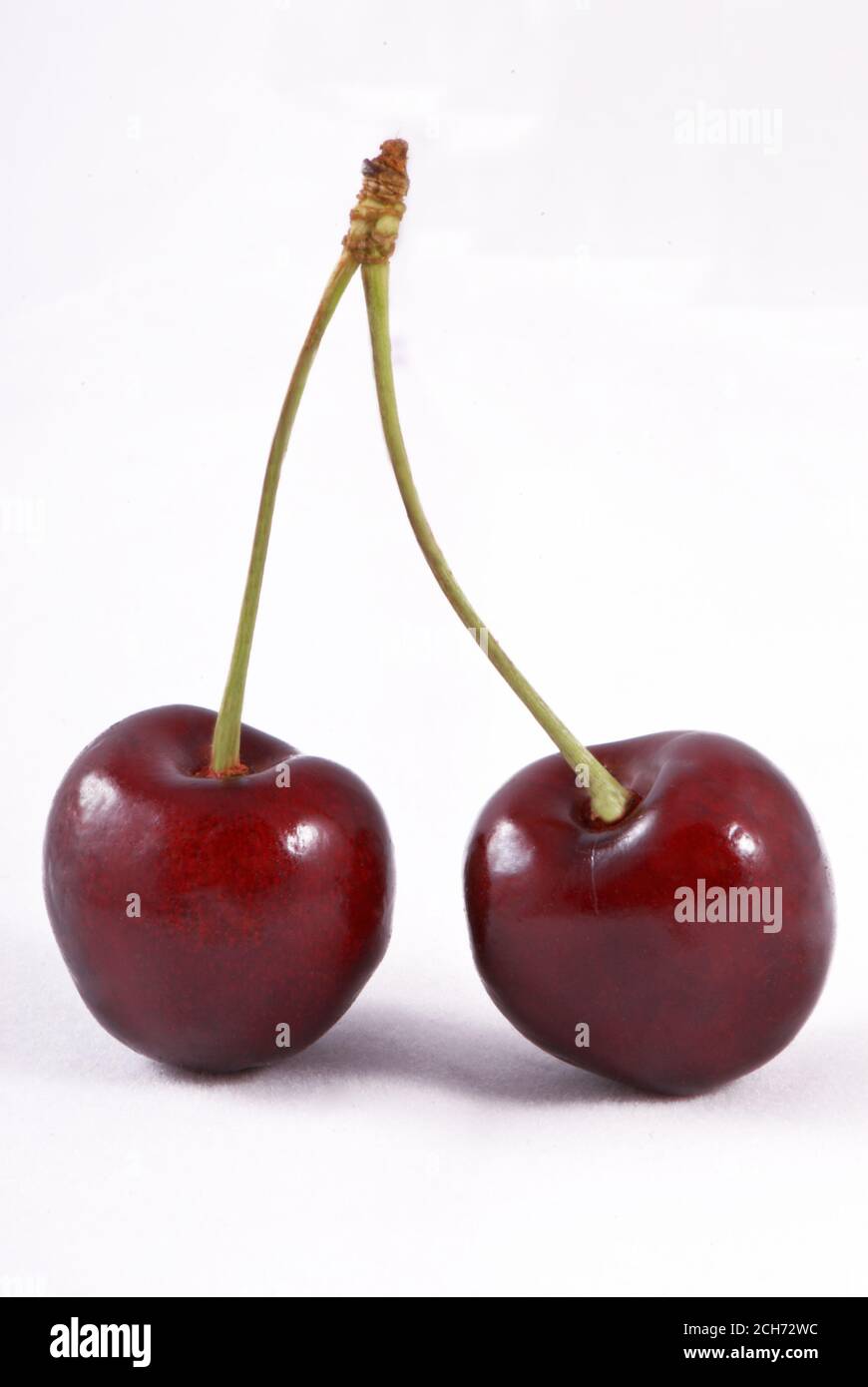 Pair of cherries with tails on a white background Stock Photo - Alamy