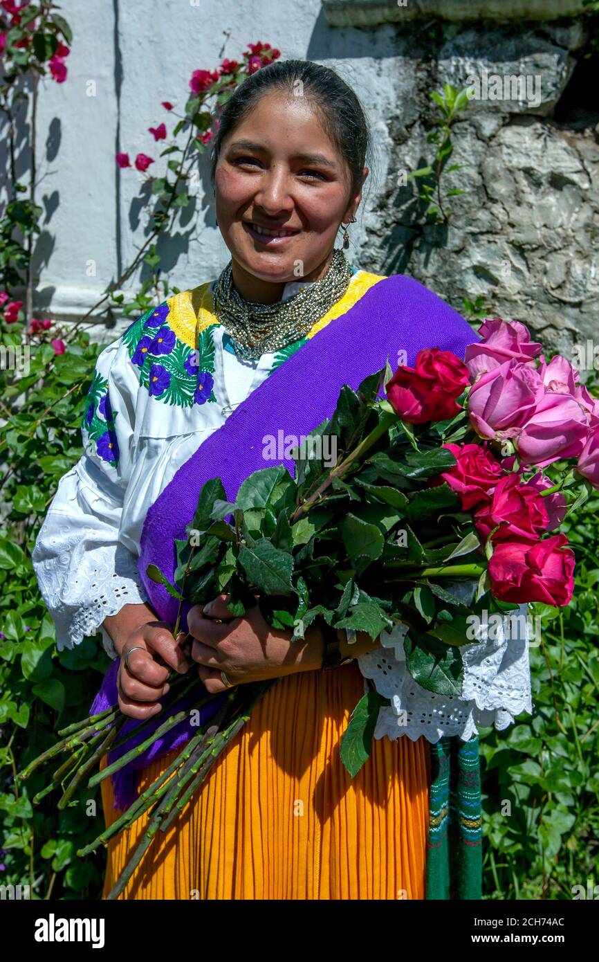 Rose plantation hi-res stock photography and images - Alamy