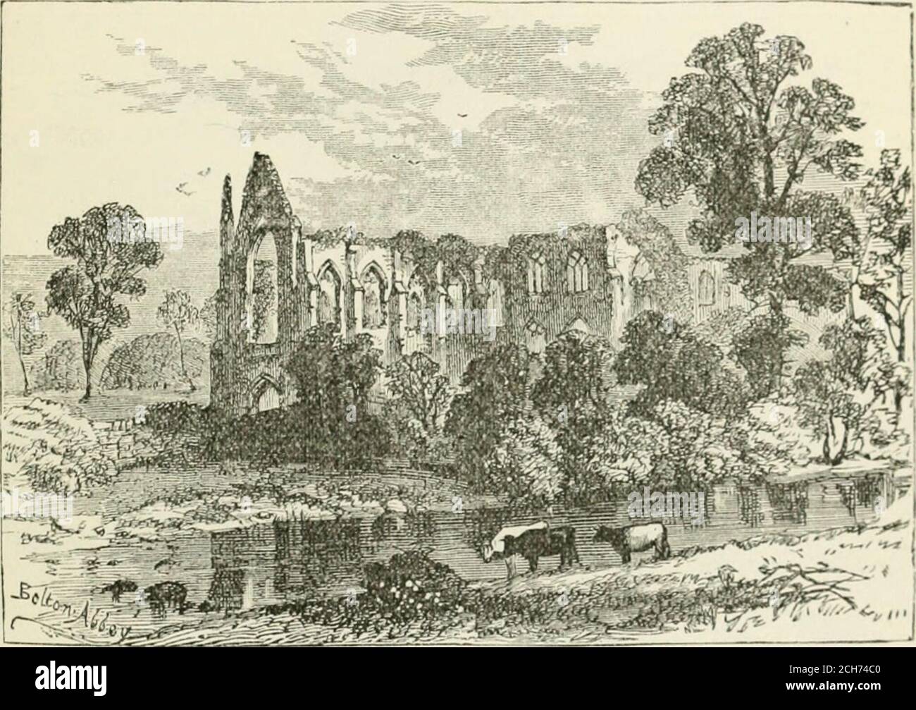 Oip hi-res stock photography and images - Alamy