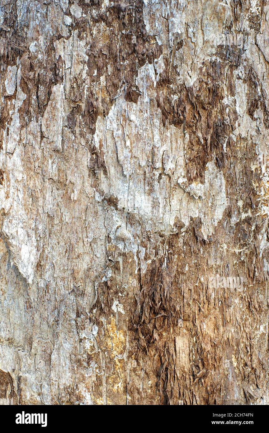 Rotten Woodwork High Resolution Stock Photography and Images - Alamy