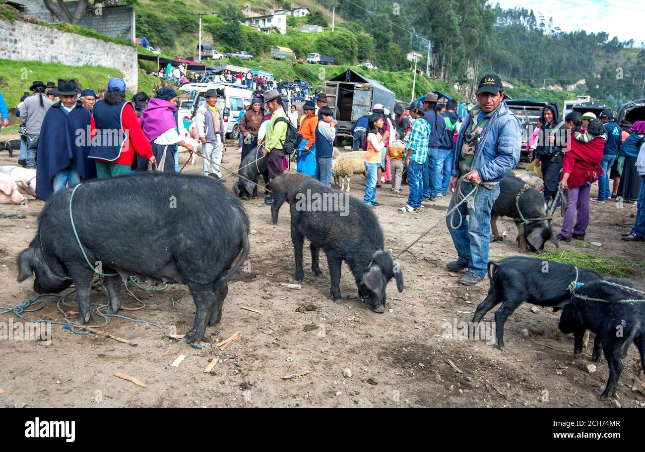 Uses for rope hi-res stock photography and images - Alamy