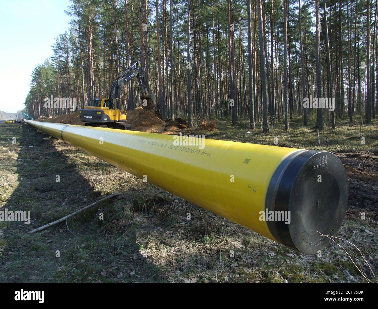 Laying of pipes for a gas pipeline from Russia Stock Photo - Alamy