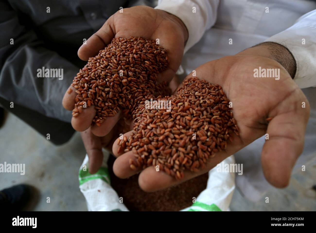 Hassawi hi-res stock photography and images - Alamy