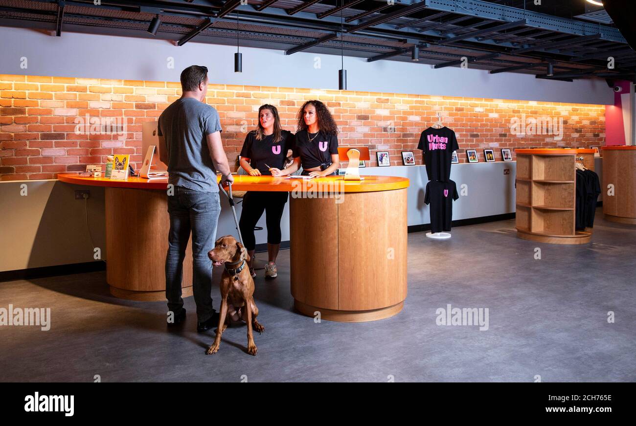 Londons Pets High Resolution Stock Photography and Images - Alamy