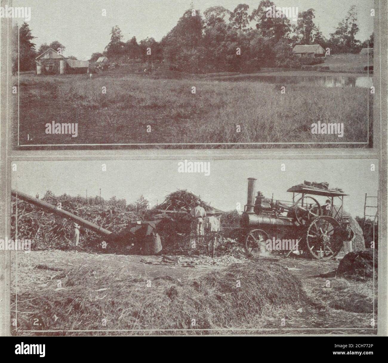 . Natal province : descriptive guide and official hand-book . he middle ...