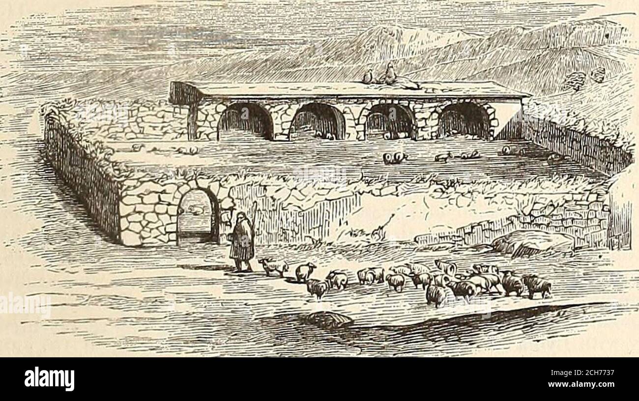 . A comprehensive dictionary of the Bible . Broad-tailed Sheep ...