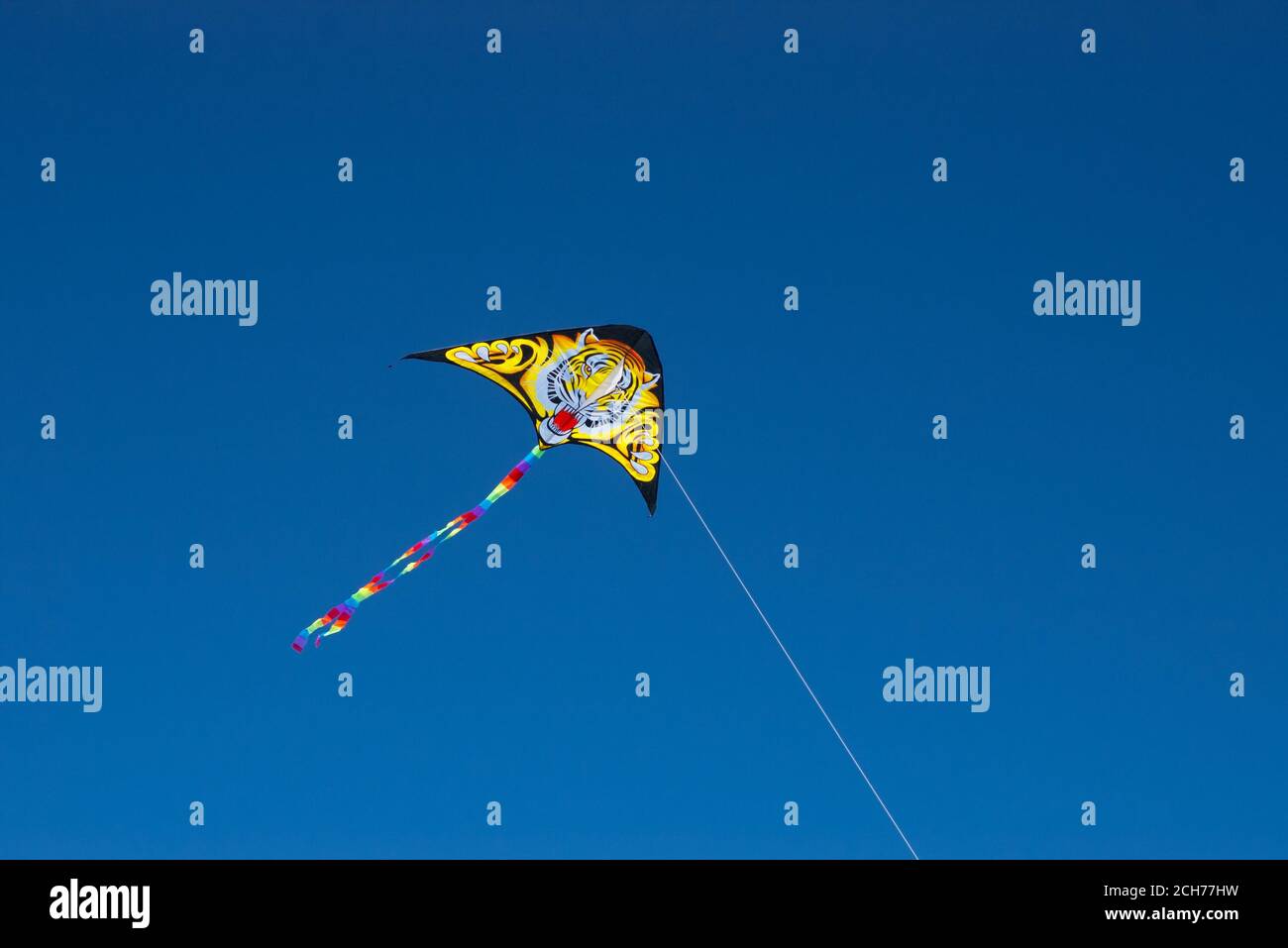 Tiger kite with white string against deep blue sky Stock Photo - Alamy