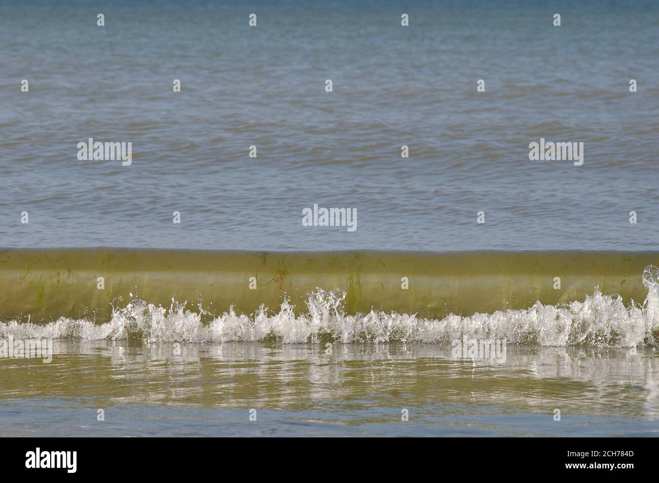 Falling sea wave rolling on the beach with selective focus Stock Photo ...