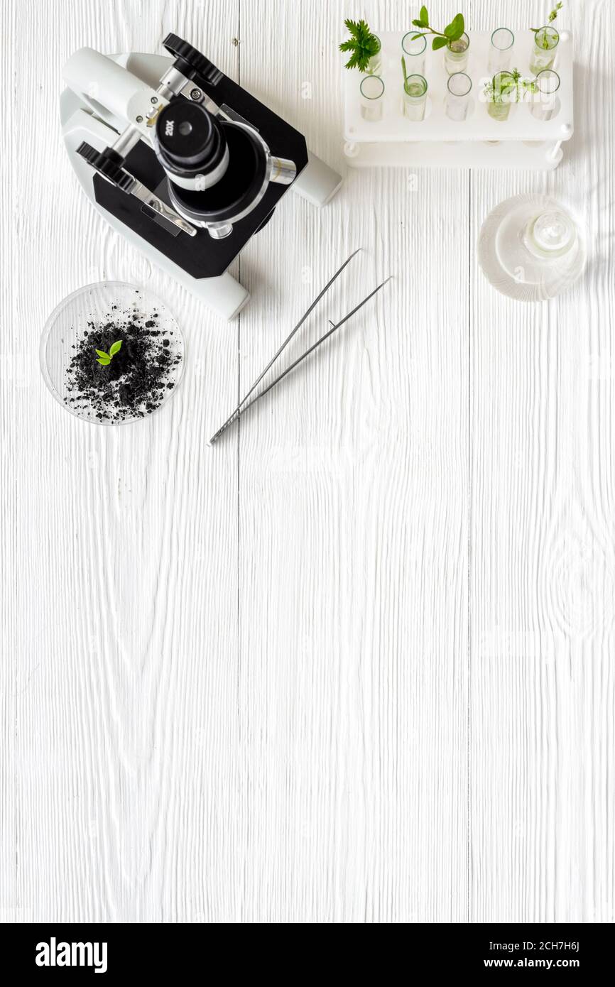 Testing plants and soil in biological laboratory Stock Photo - Alamy