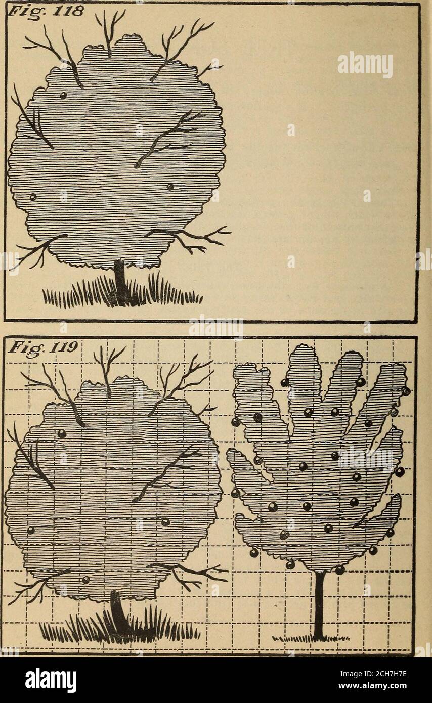 Dead apple tree trunk hi-res stock photography and images - Alamy