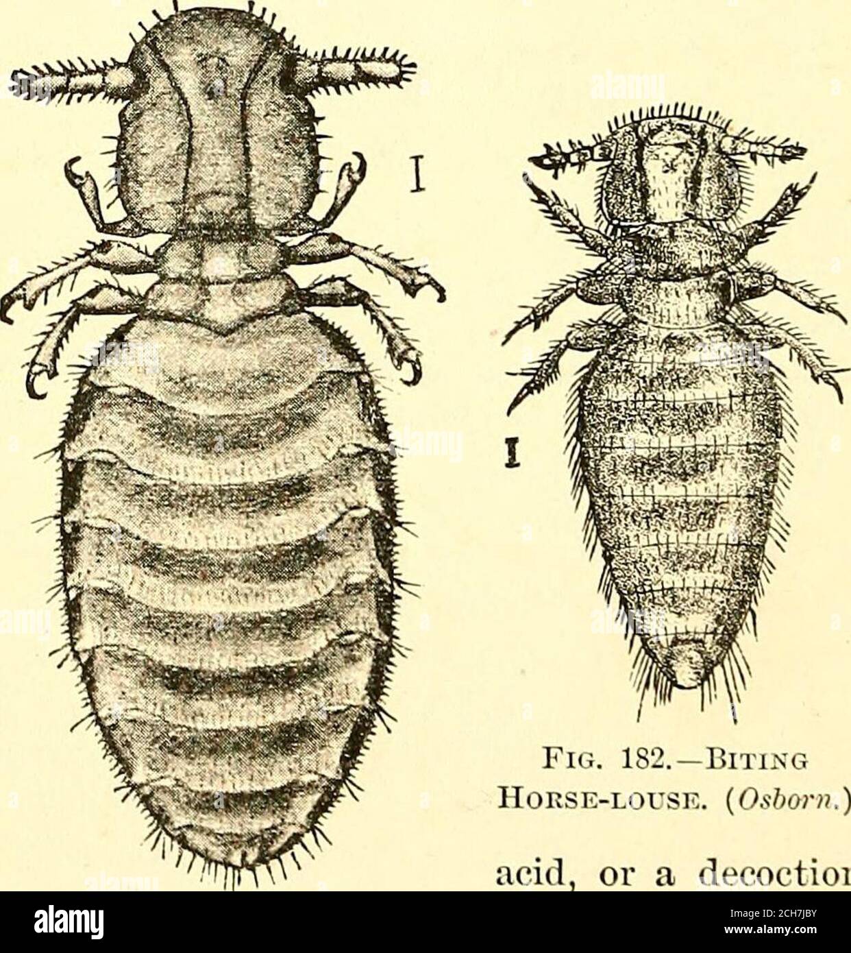 . Injurious insects and the use of insecticides [microform] : a new ...