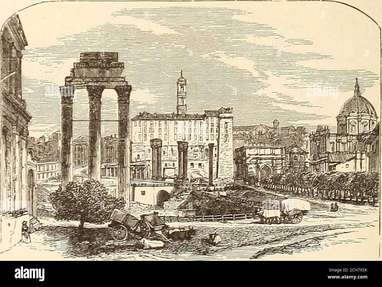 Odoacer hi-res stock photography and images - Alamy