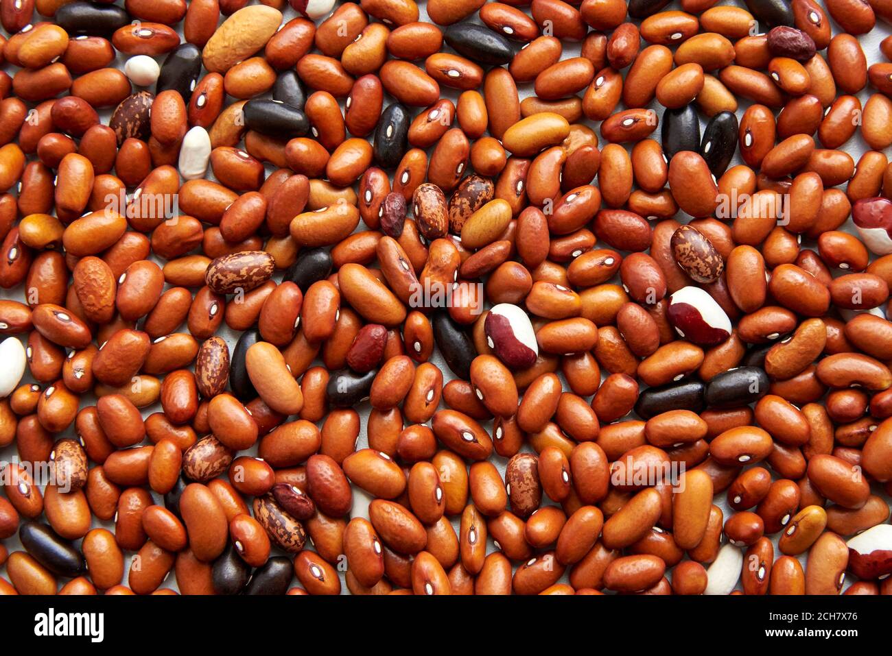 Background from different types of beans, brown, black, spotted beans ...