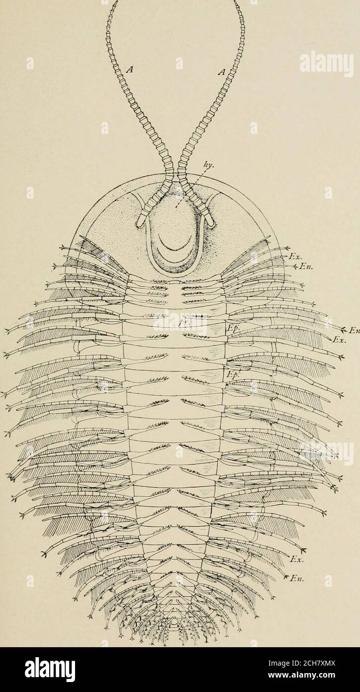 Nearly vertical position hi-res stock photography and images - Alamy