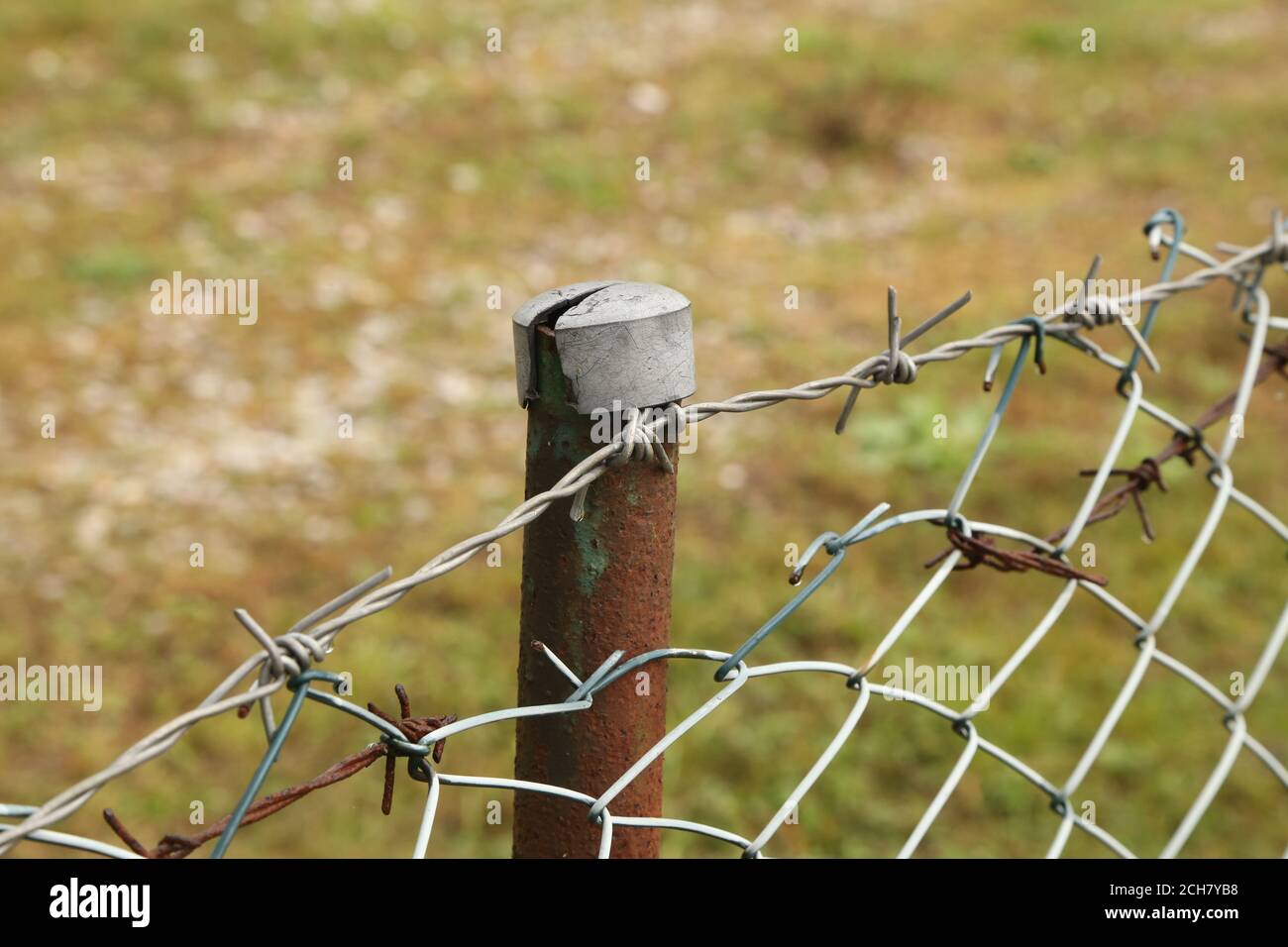 Steel wire mesh fence in the garden Stock Photo - Alamy