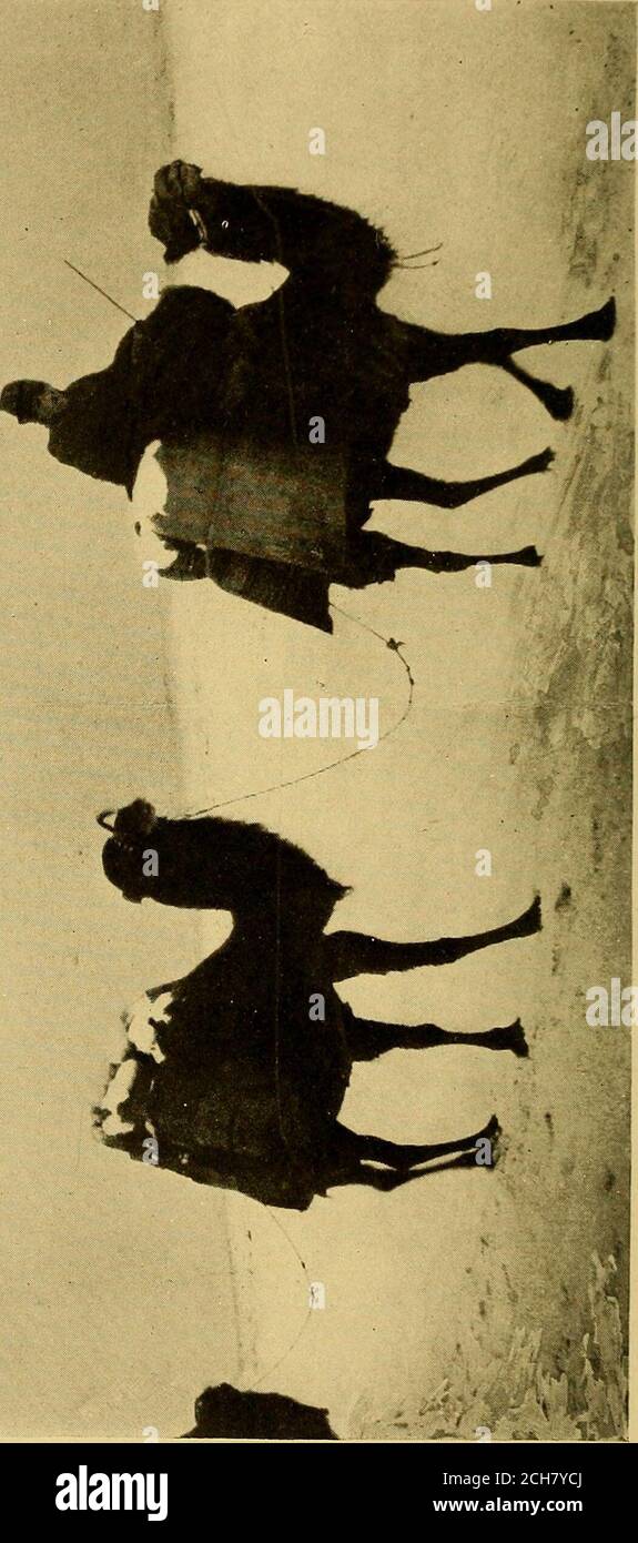 Map of swift current hi-res stock photography and images - Alamy