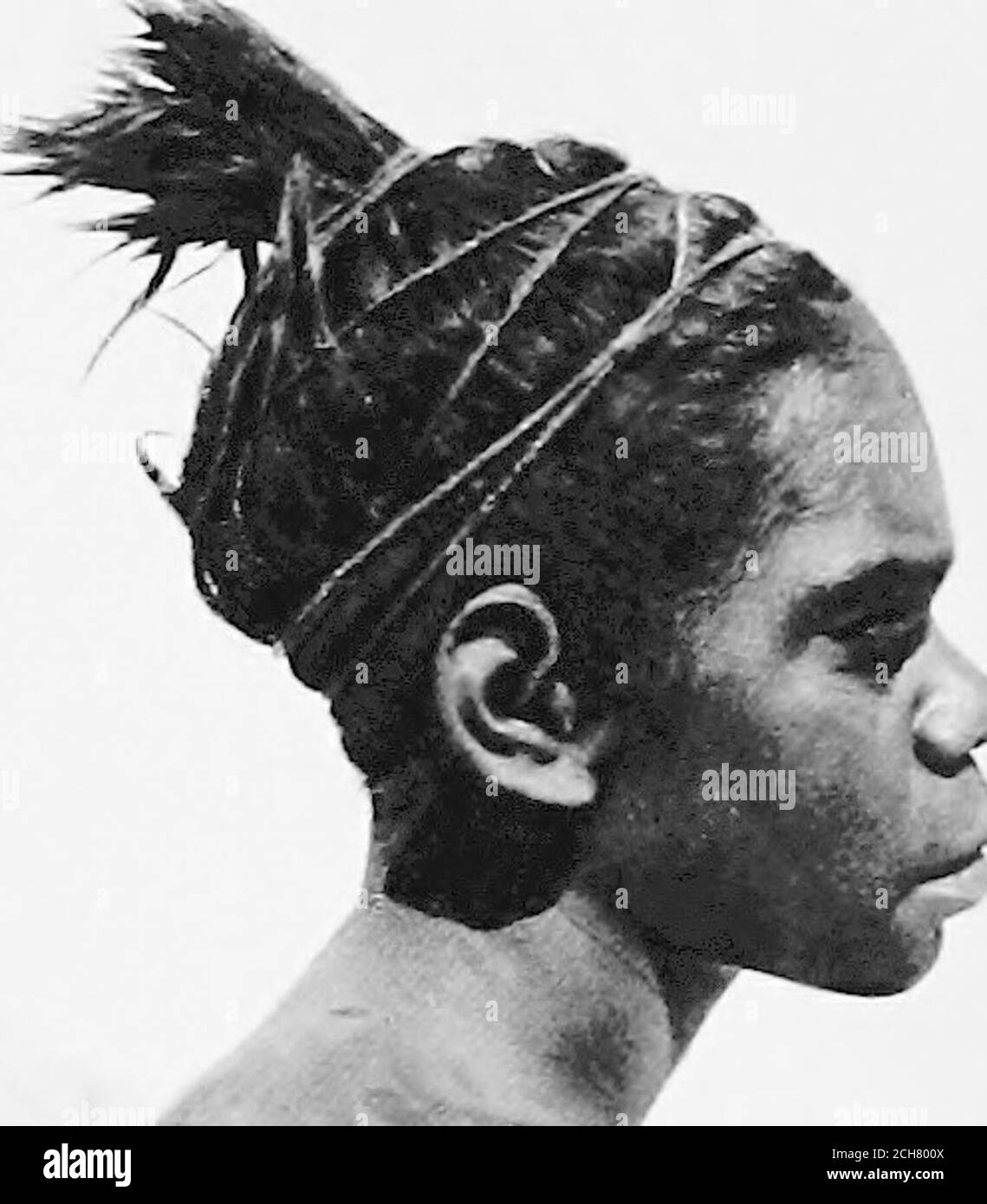 Mrnr Black and White Stock Photos & Images - Alamy