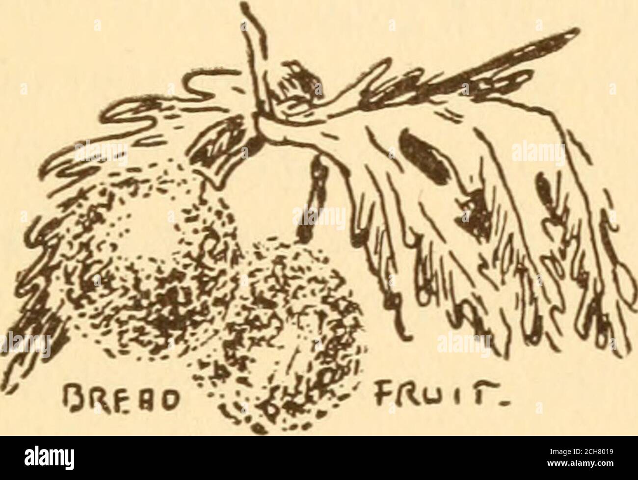 Wayfarer bread hi-res stock photography and images - Alamy