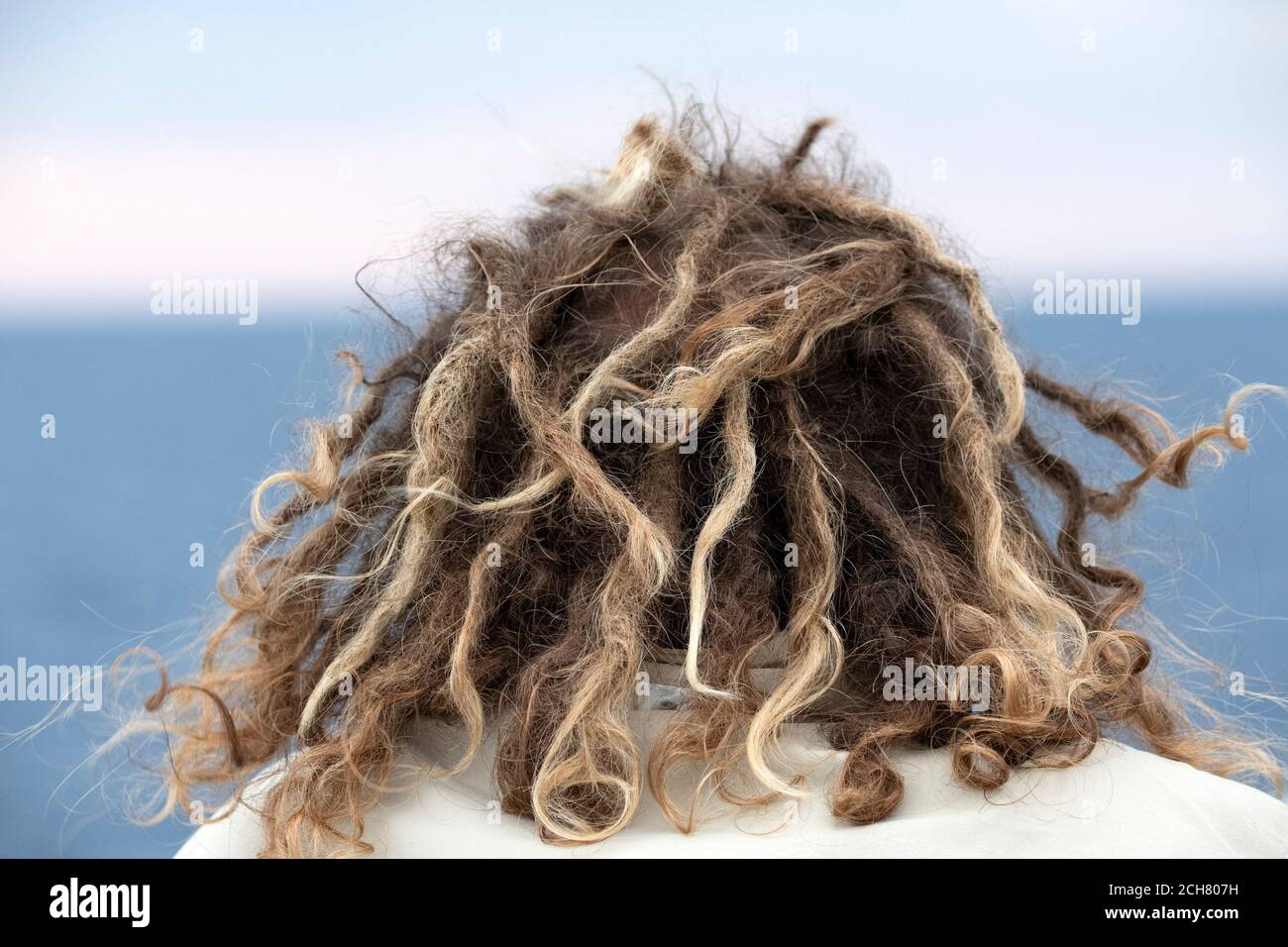 Rastafarian dreadlock hairstyle hi-res stock photography and images - Alamy