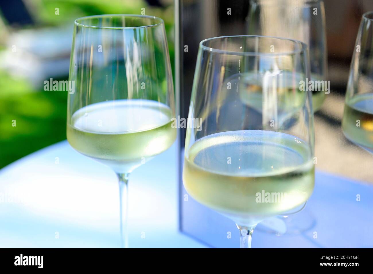 wine, fresh, white, alcohol, drinking, consumption, drinking culture ...