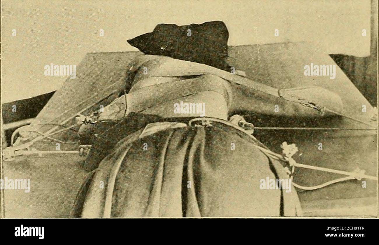 Spine string hi-res stock photography and images - Alamy