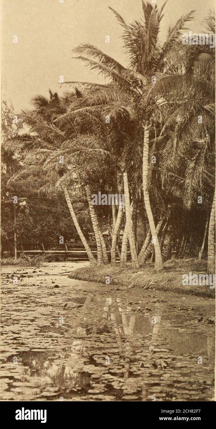 Chanting incantations hi-res stock photography and images - Alamy