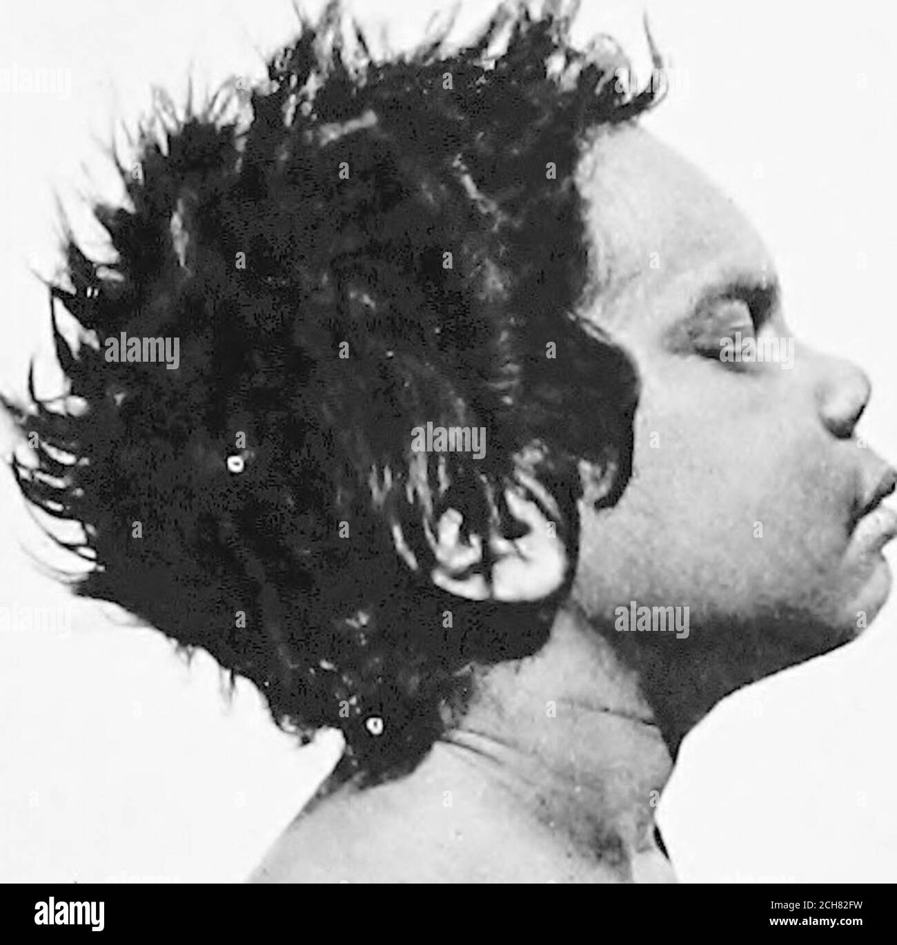 . Across Australia . unta or theKaitish tribe. In respect of height ...