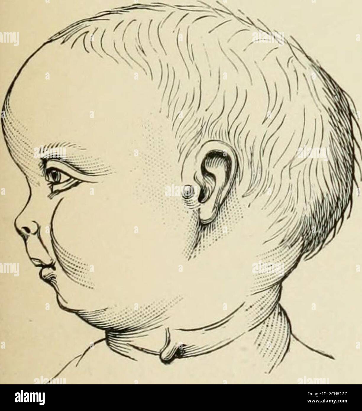 Evolution man from child hi-res stock photography and images - Alamy